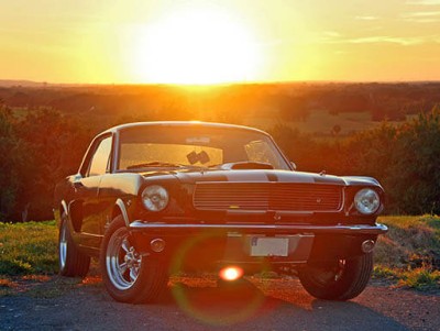 Exploring America’s Love Affair with the Ford Mustang