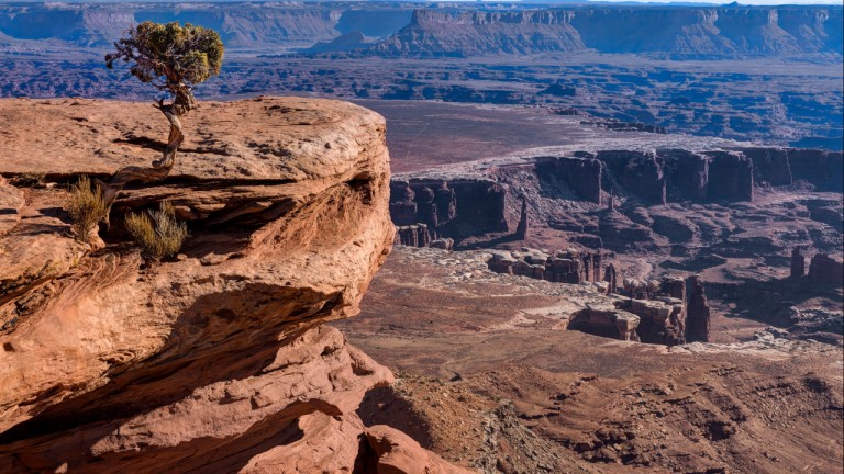 Visit Utah’s Arches, Canyonlands, and Zion National Parks in one trip ...