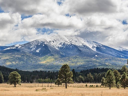 5 Reasons to Spend Spring Break in Flagstaff, Arizona