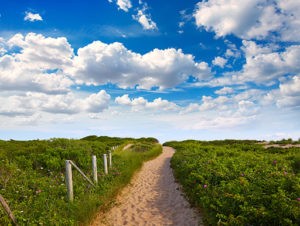 Must-See Attractions for an Authentic Cape Cod Experience