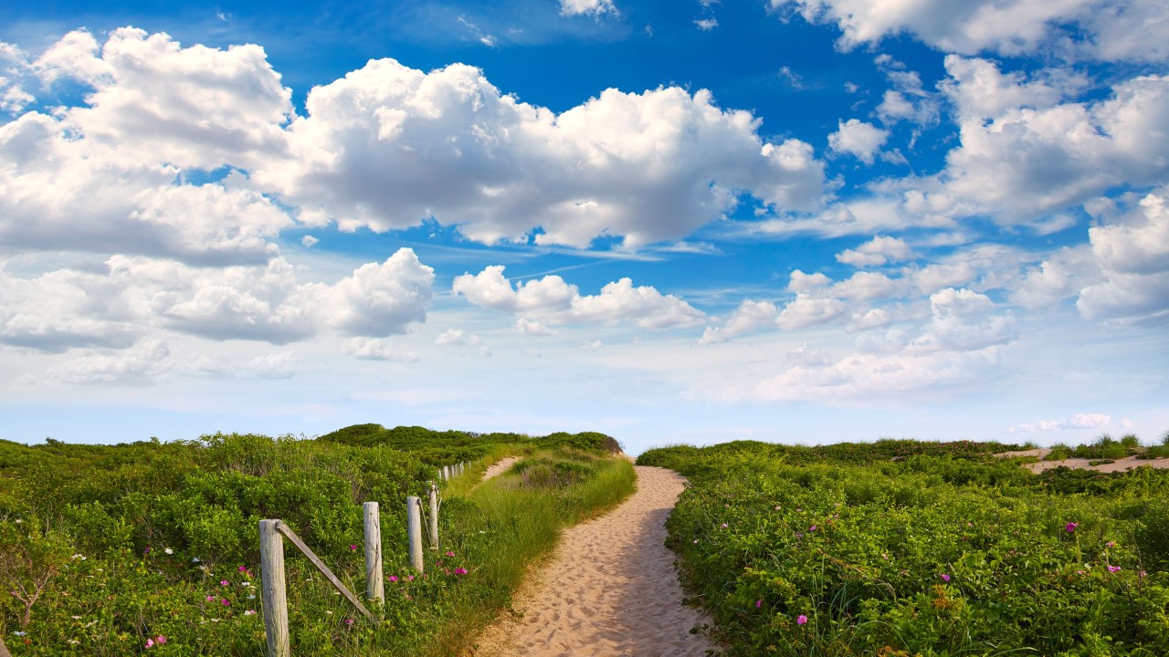 Must-See Attractions for a Cape Cod Experience | Hertz