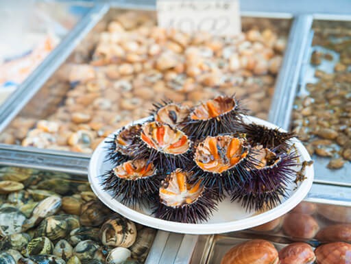 An Insider’s Travel Guide to Catania