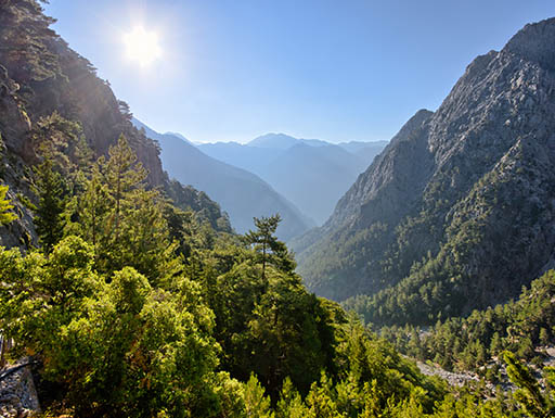 Naples Neighborhoods Guide