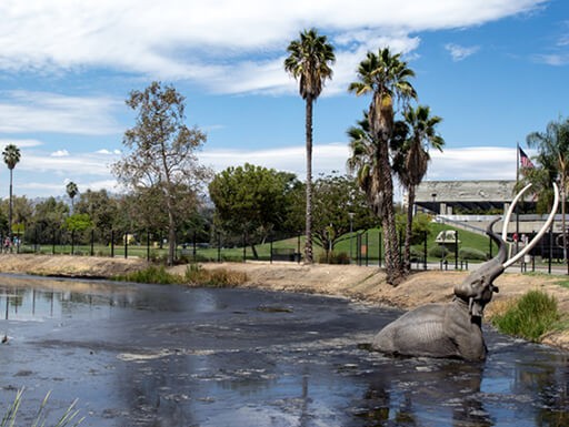 Top Family Activities in Los Angeles