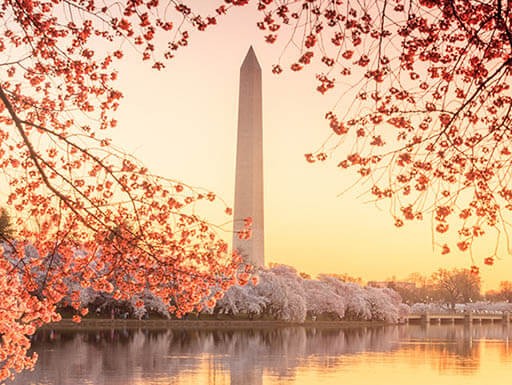 Washington D.C. after Dark: Skip the Summer Crowds by Touring at Night