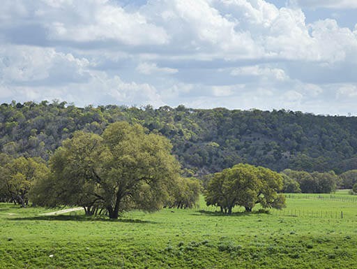Taking the Scenic Route Through the Famous Texas Hill Country