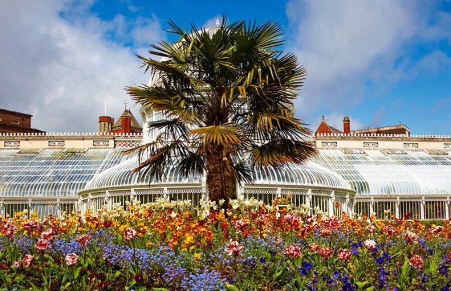 The Top 10 Belfast Attractions | Hertz Blog