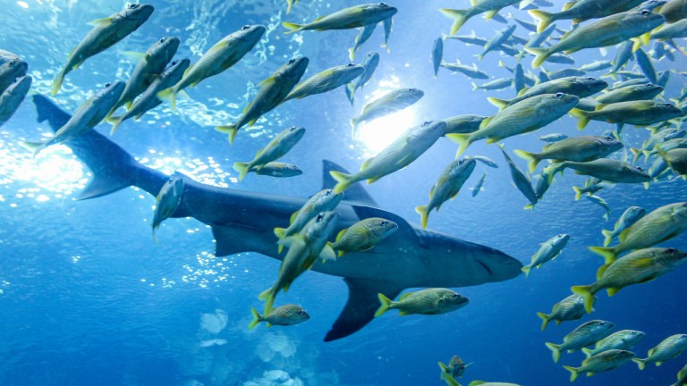 Best things to do in Atlanta | Hertz Blog