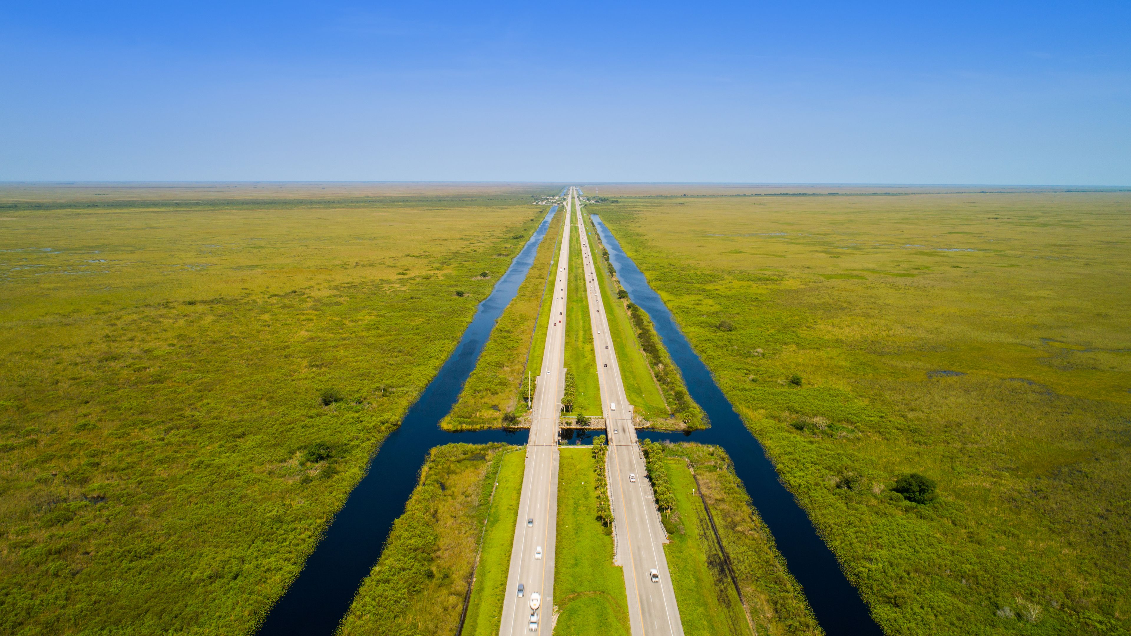 Travel Guide to Alligator Country in Florida | Hertz Blog