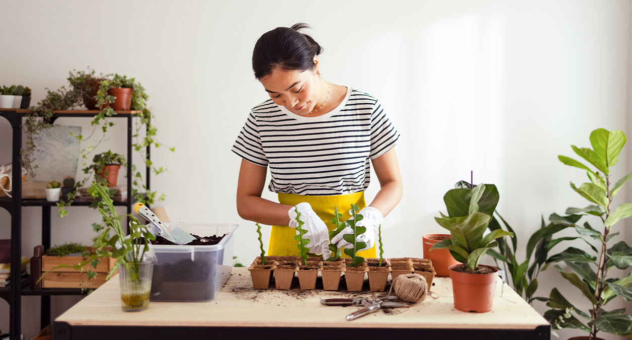 Save 10% off all vehicles