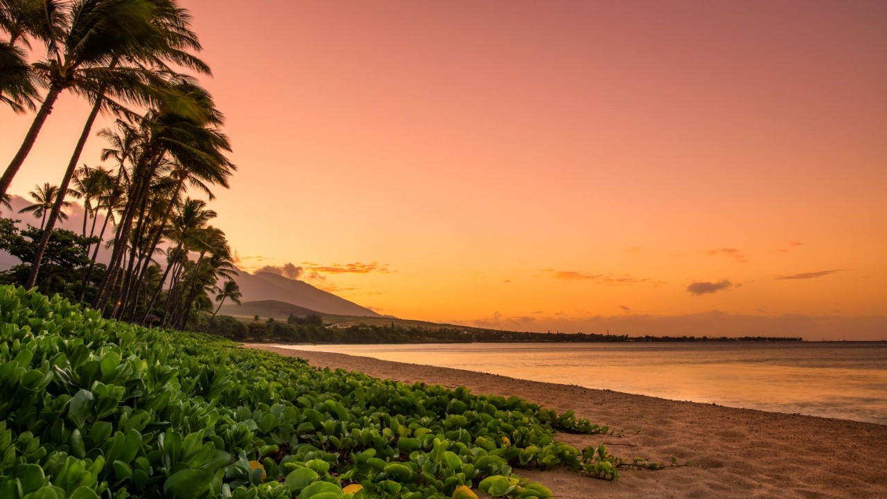 Hawaii car rental | Book direct today